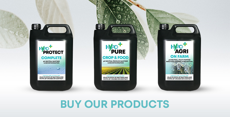 Education – Hypo Solutions Ltd